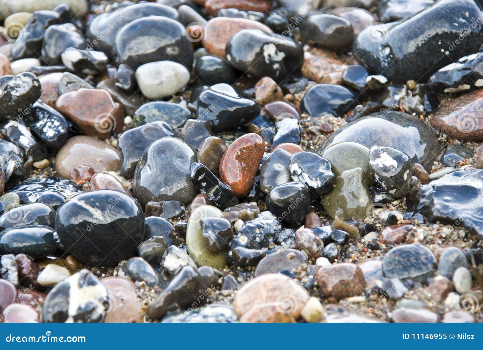Wet stones at the beach stock image. Image of coast, smooth - 11146955
