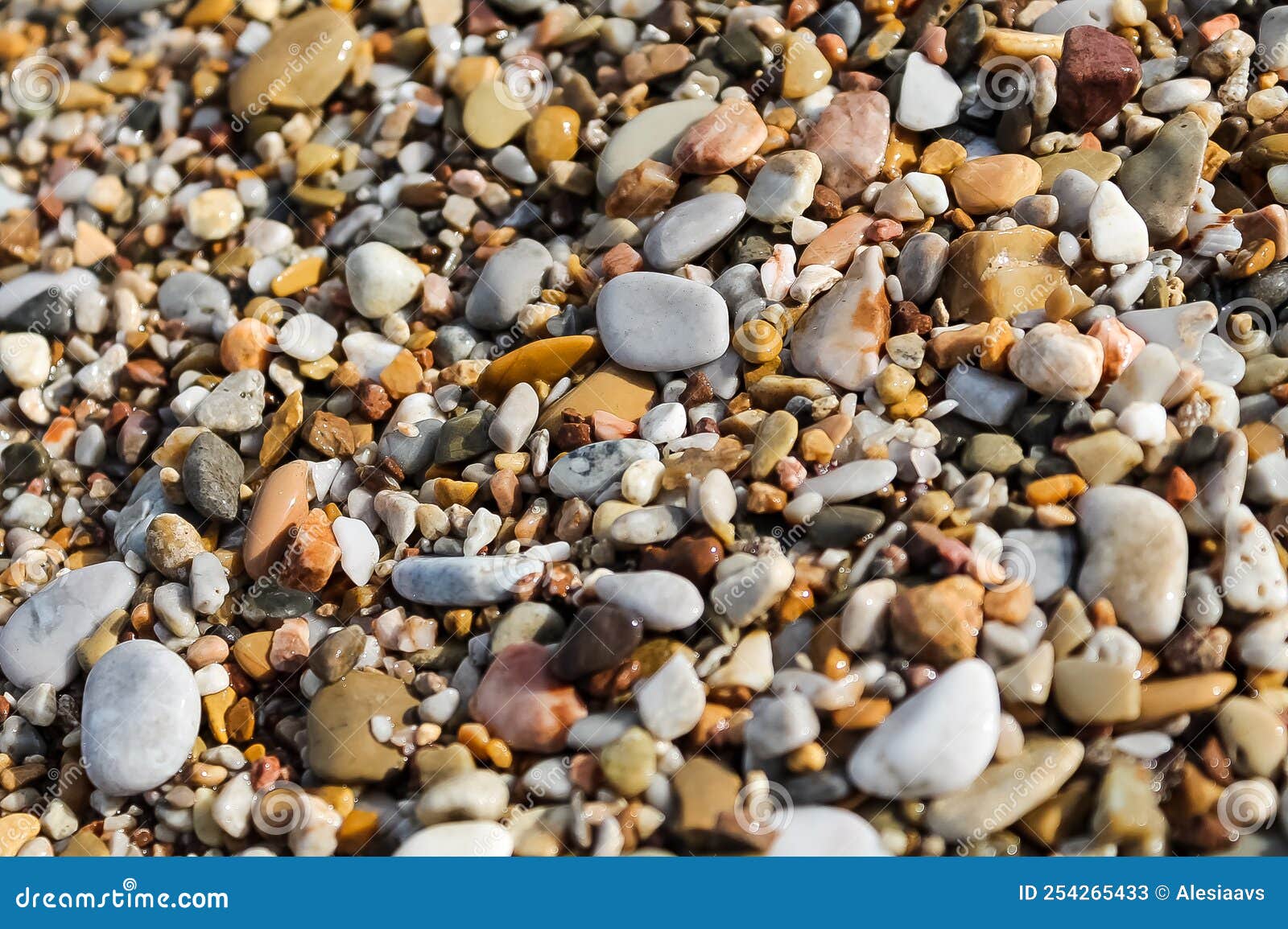 Wet stones on the beach stock image. Image of white - 254265433
