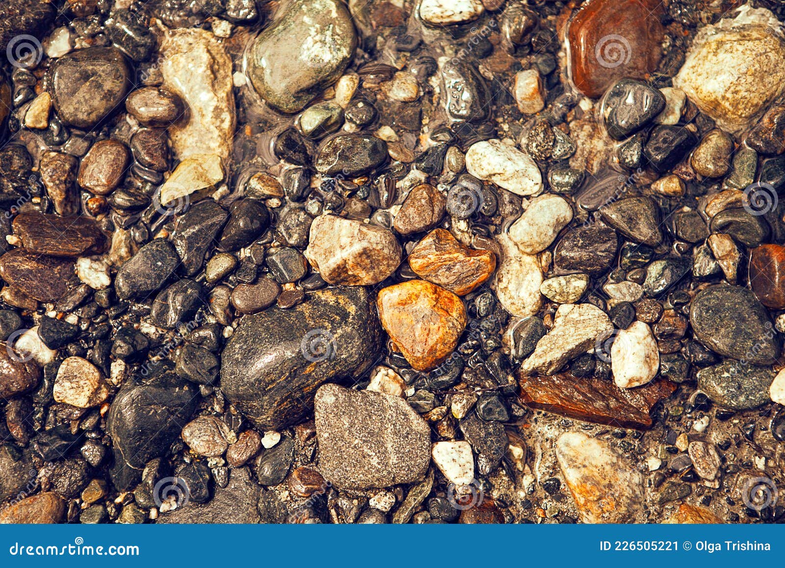 Wet Stones in the River, Close Up. Multicolored Rocks in Water Stock ...