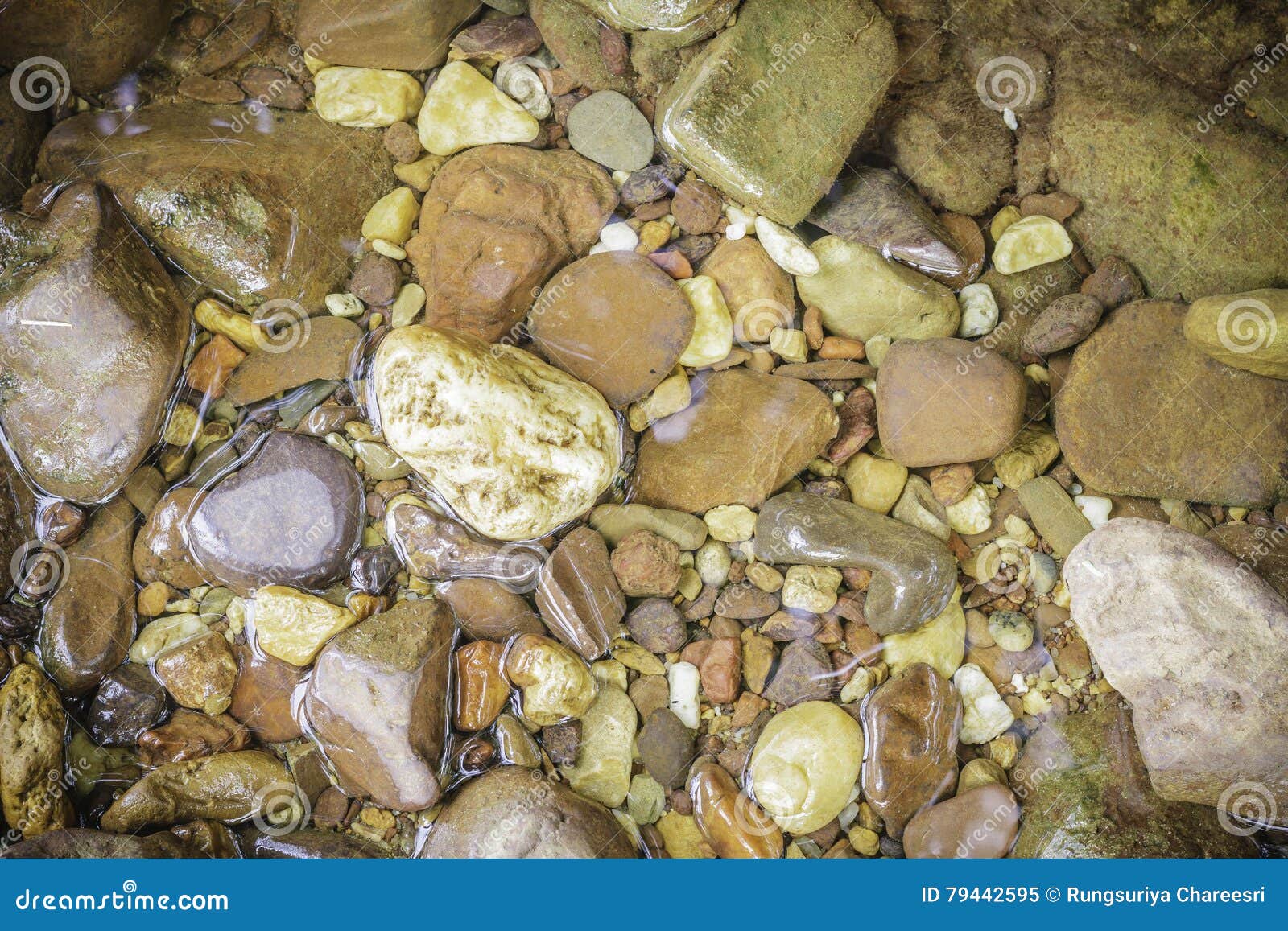 Wet Stones in the Riverside Stock Image - Image of blue, nature: 79442595