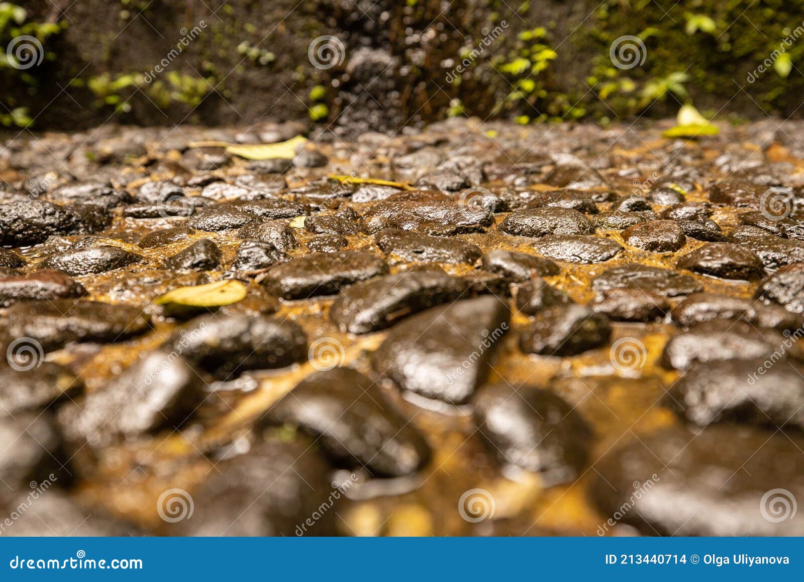 Wet Stones. Texture Background. Selected Art Focus. Blurred Foreground ...