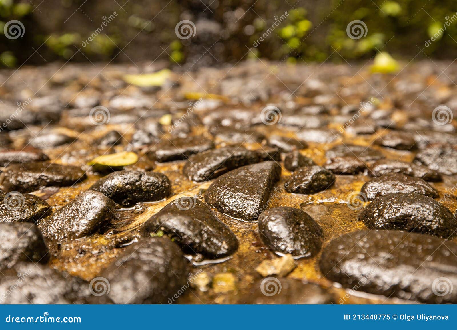 Wet Stones. Texture Background. Selected Art Focus. Blurred Foreground ...