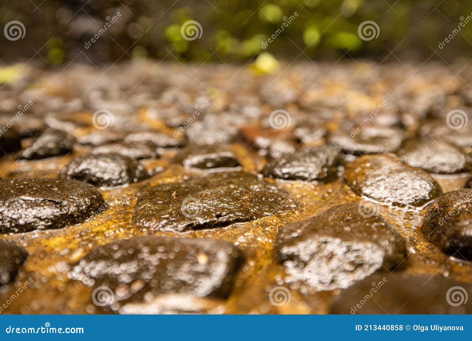 Wet Stones. Texture Background. Selected Art Focus. Blurred Foreground ...