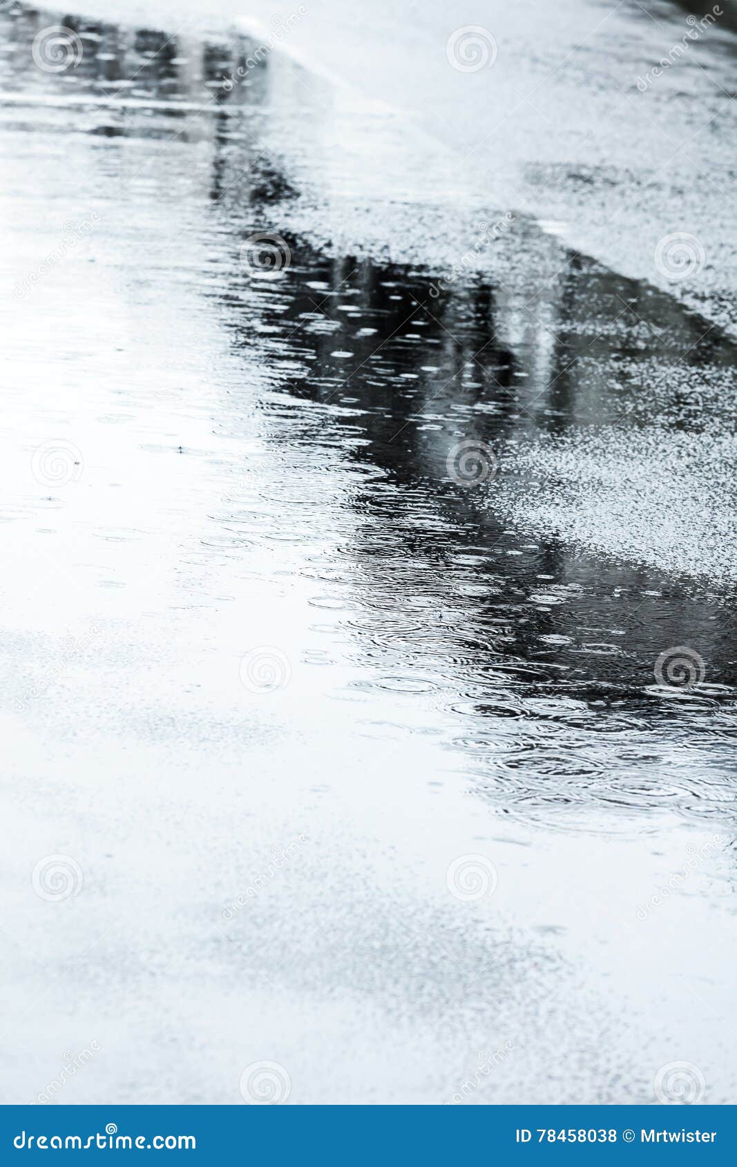Rain Puddle On Sidewalk