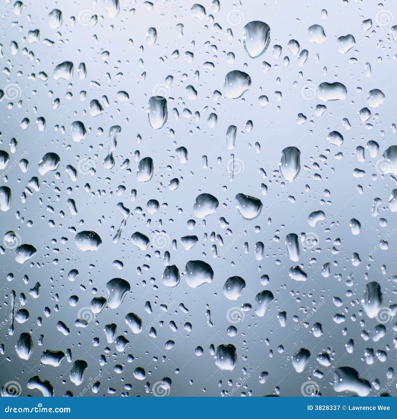 Wet Surface stock image. Image of sizes, wiggly, shapes - 3828337