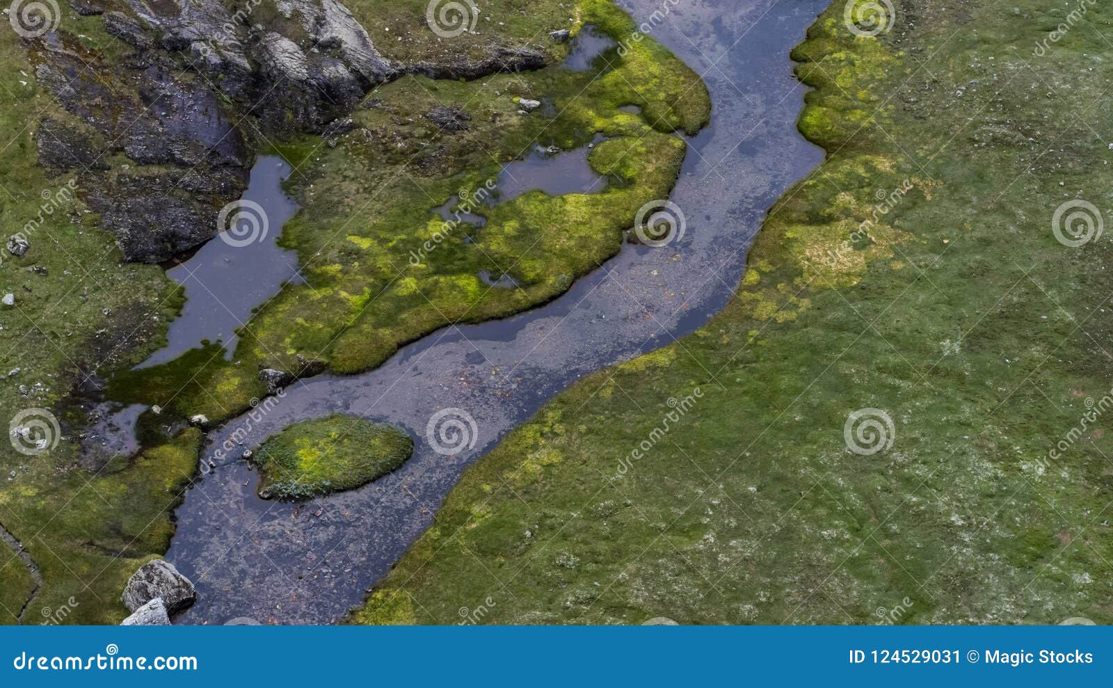 Wet swampy area in Norway stock image. Image of river - 124529031