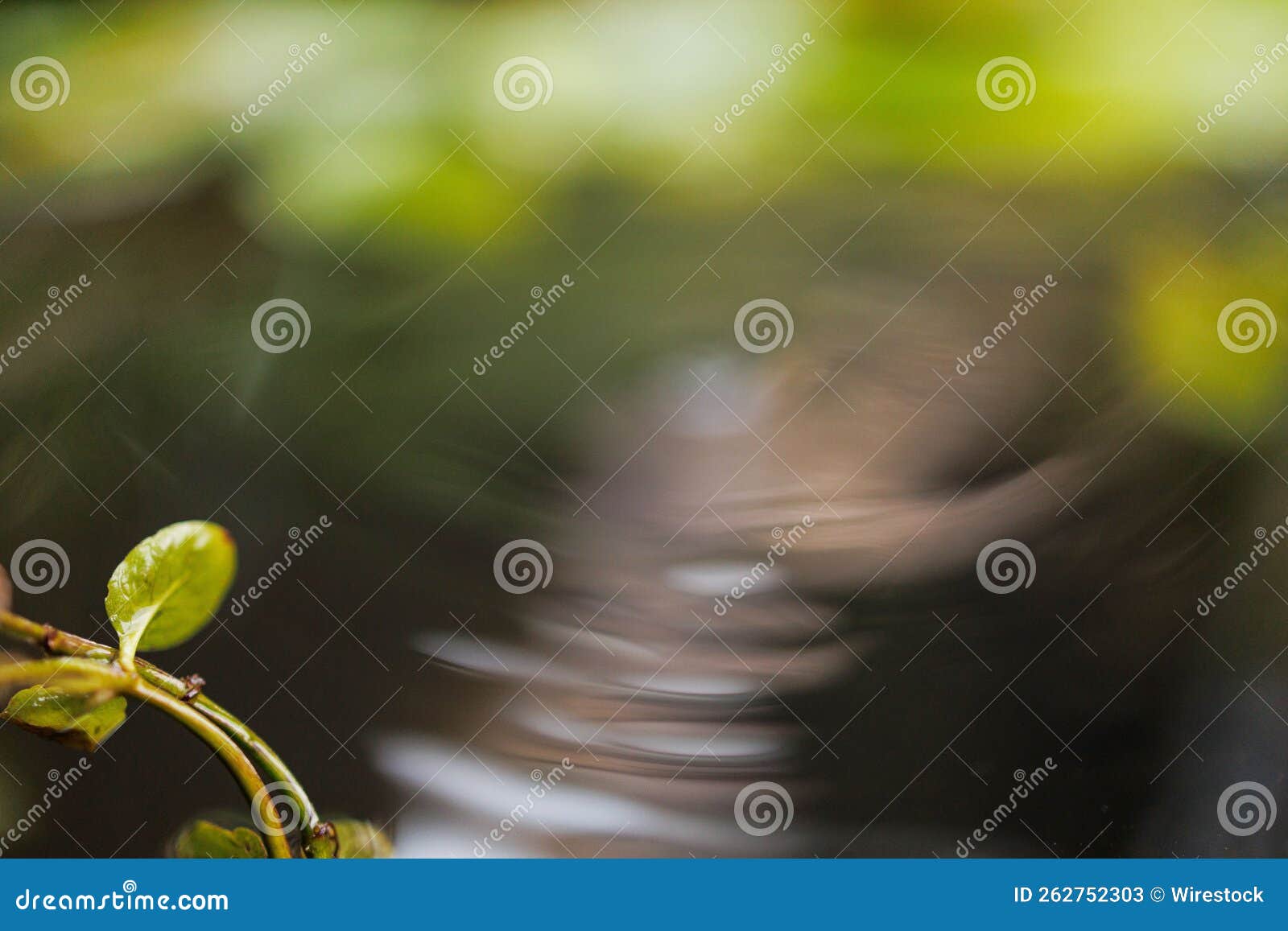 Wet Texture of a Waterdrop Dropping on a Water Surface Stock Image ...