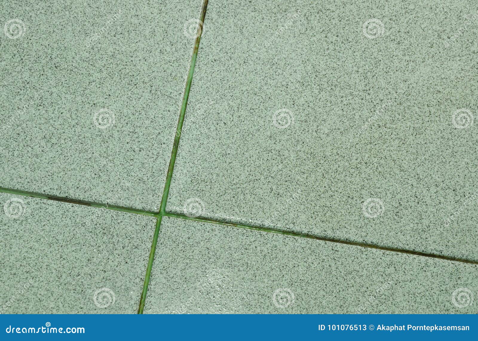 Wet tile floor in bathroom stock image. Image of toilet - 101076513