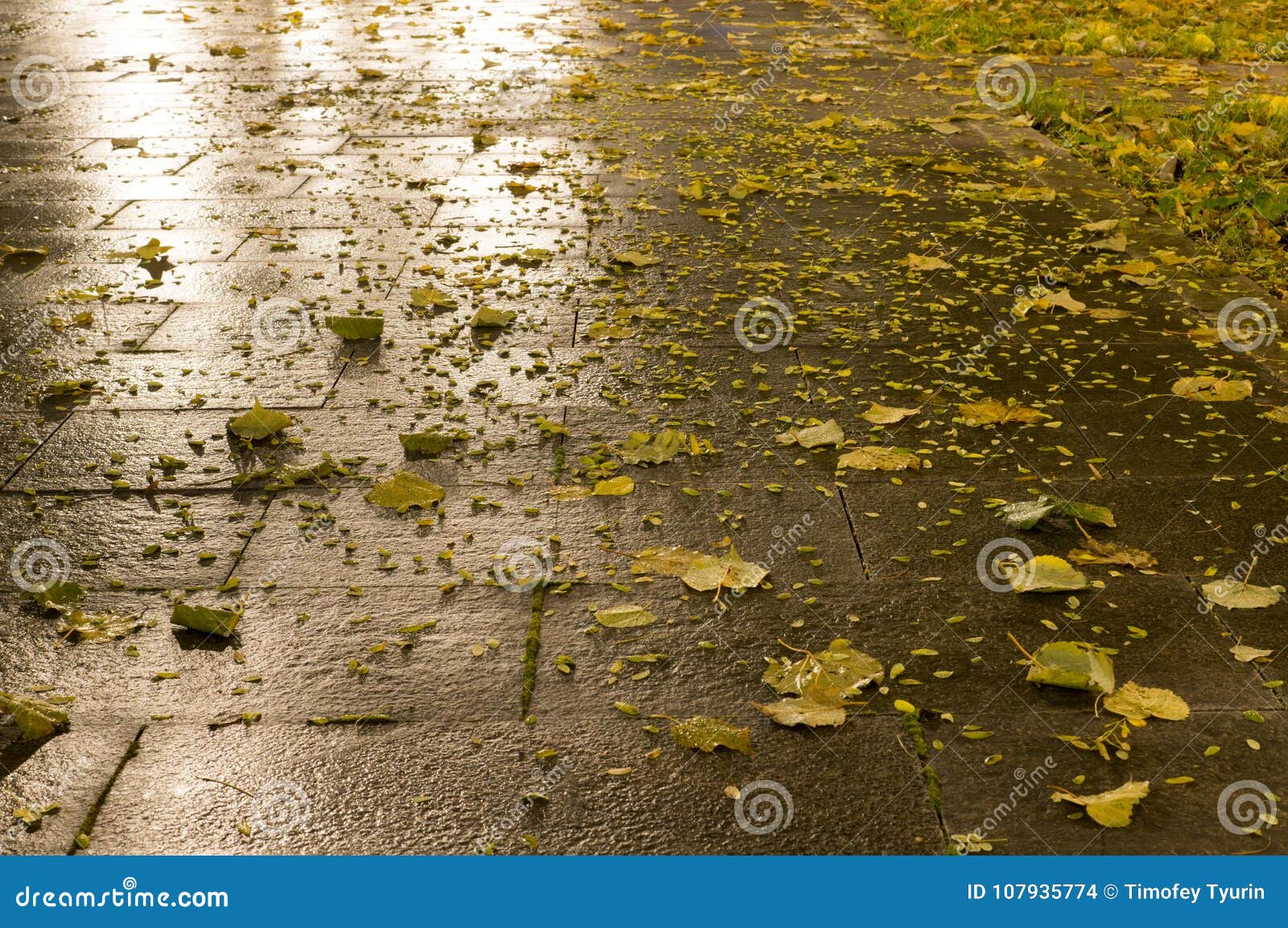 Tiled Park Pathway Royalty-Free Stock Photography | CartoonDealer.com ...