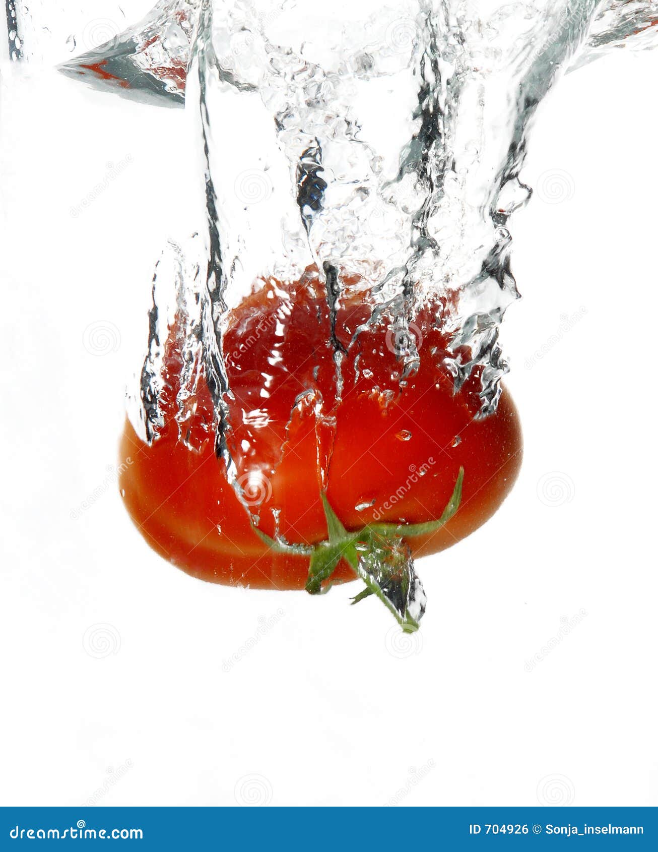 Wet tomato stock photo. Image of drinking, tomato, water - 704926