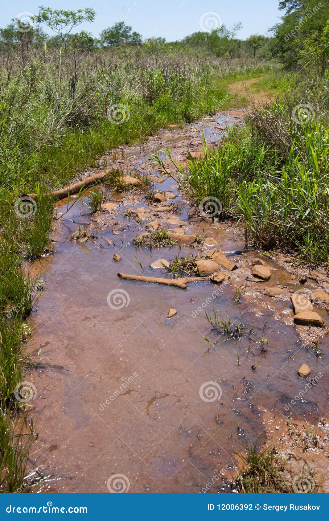 Wet trail. stock photo. Image of path, leisure, outdoors - 12006392