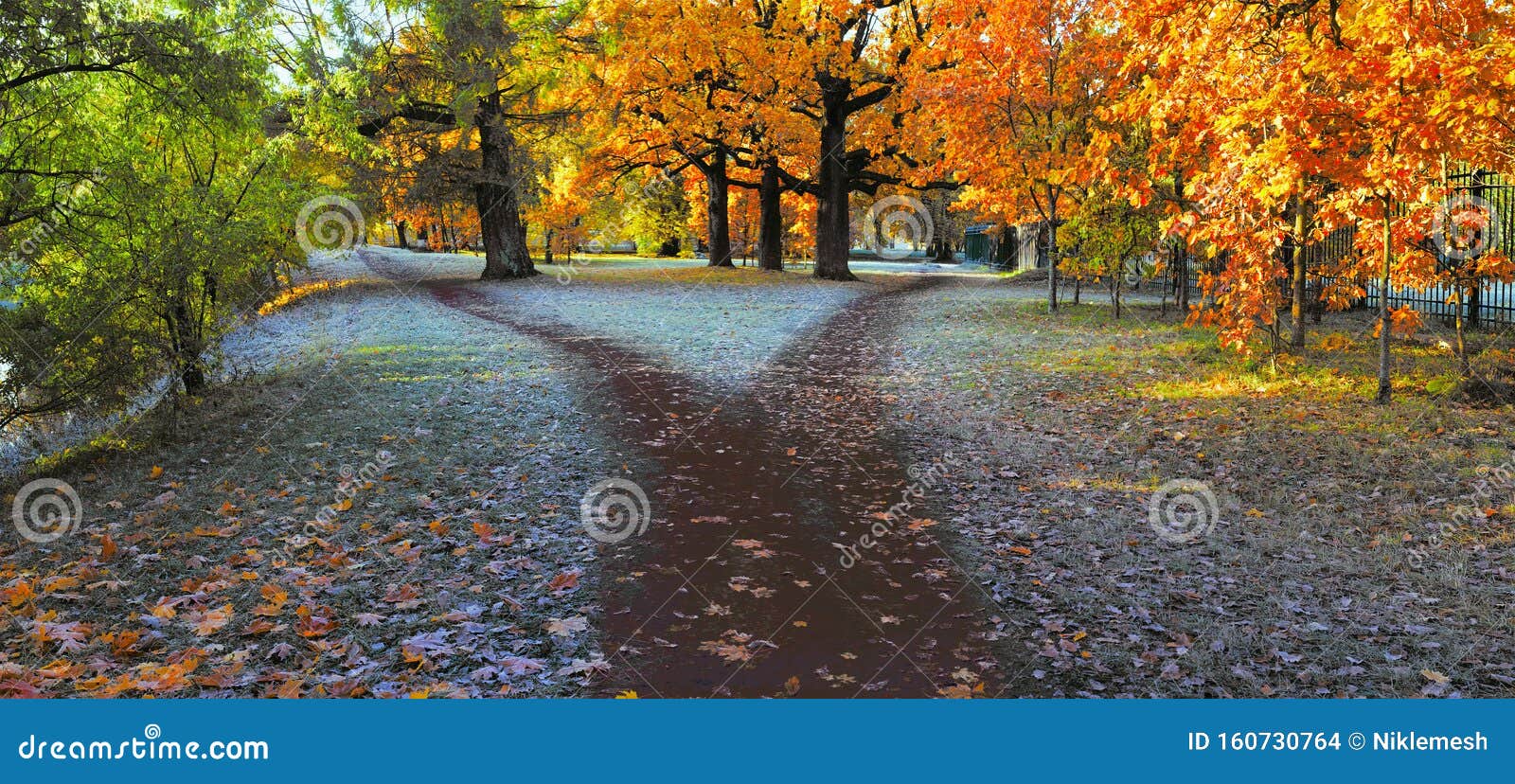 Wet Trail in Park Splits into Two Tracks Late Fall Stock Photo - Image ...