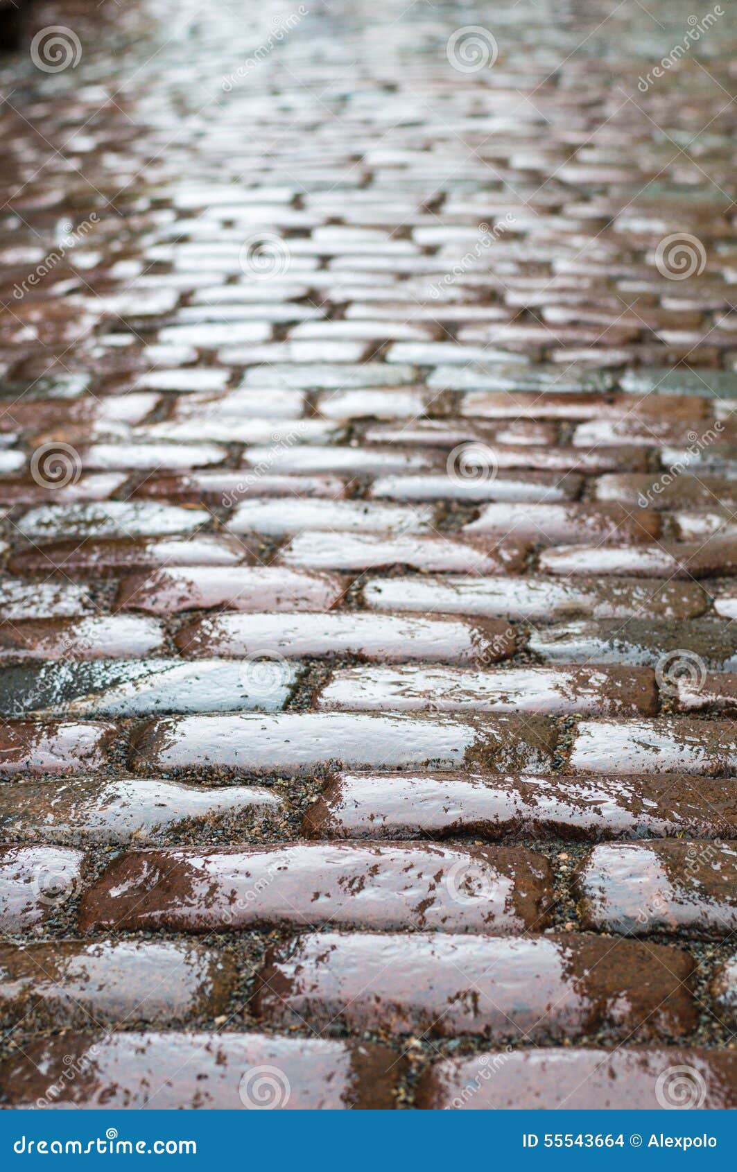Wet Vintage Cobblestone Road Stock Photo - Image of rock, cube: 55543664