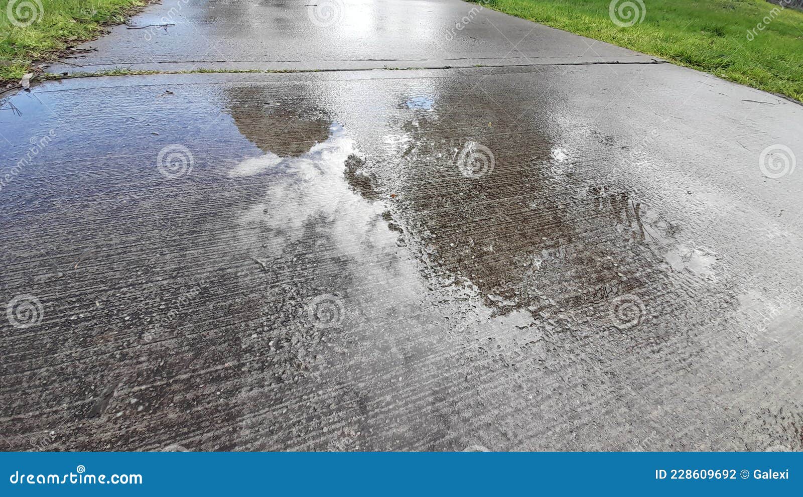 Wet walking path stock photo. Image of gray, rainy, nature - 228609692