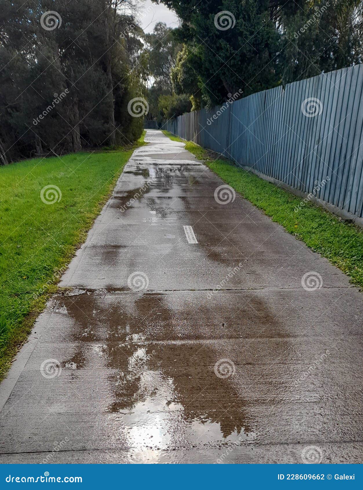 Wet walking path stock photo. Image of floor, cement - 228609662