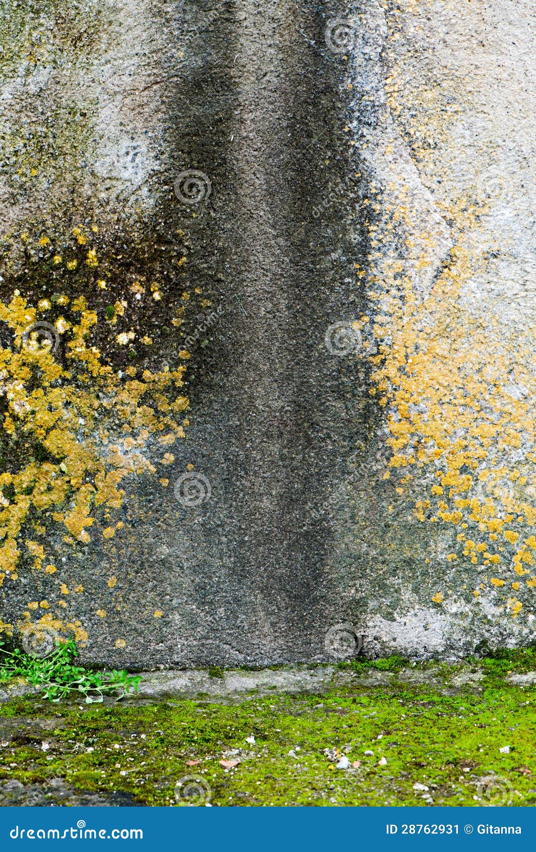 Wet wall stock image. Image of background, grunge, dirt - 28762931