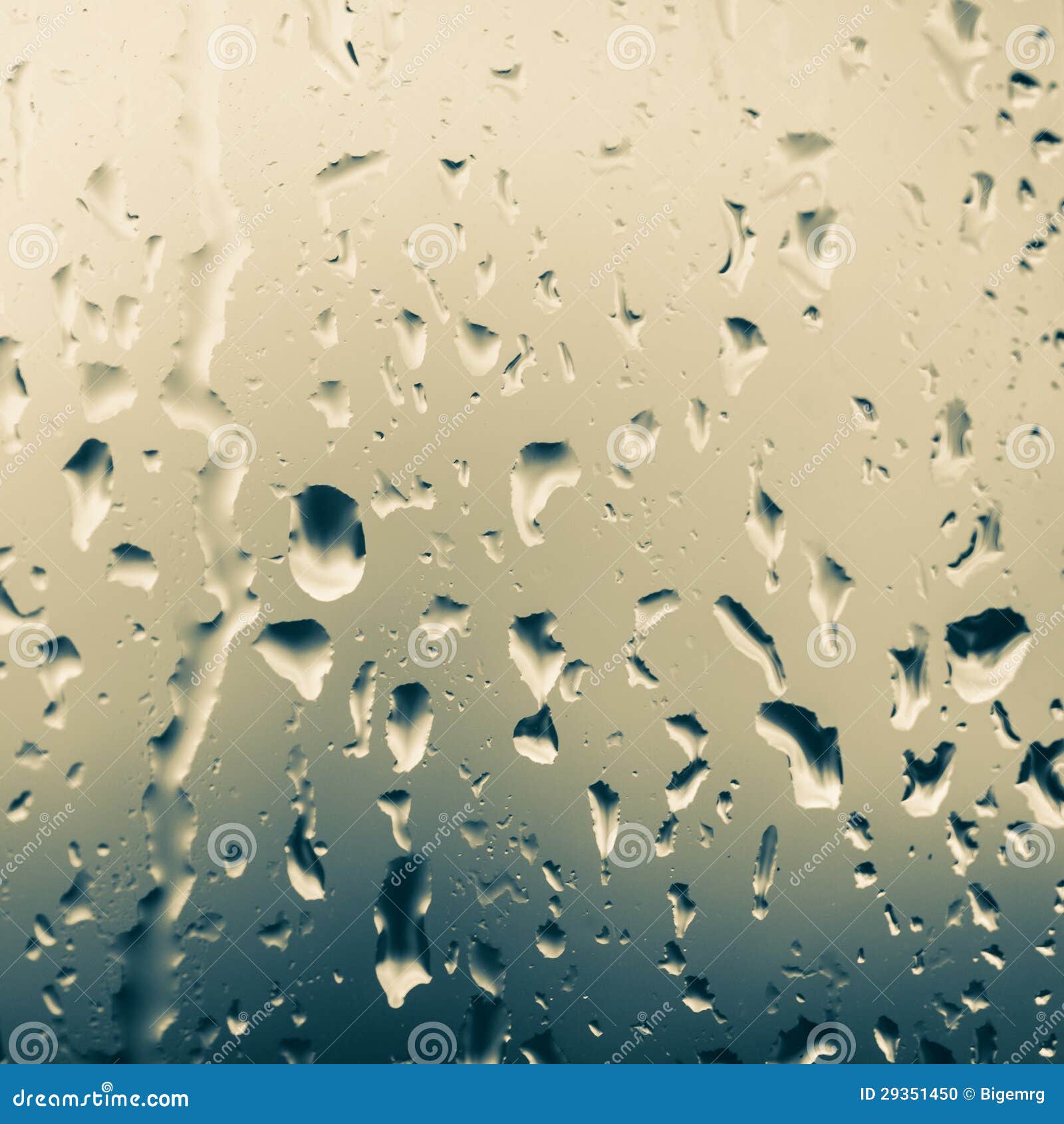 Wet Weekend stock photo. Image of raindrop, drop, droplet - 29351450
