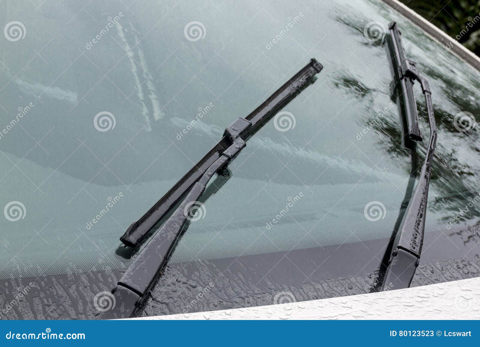 484 Windshield Reflections Stock Photos - Free & Royalty-Free Stock ...