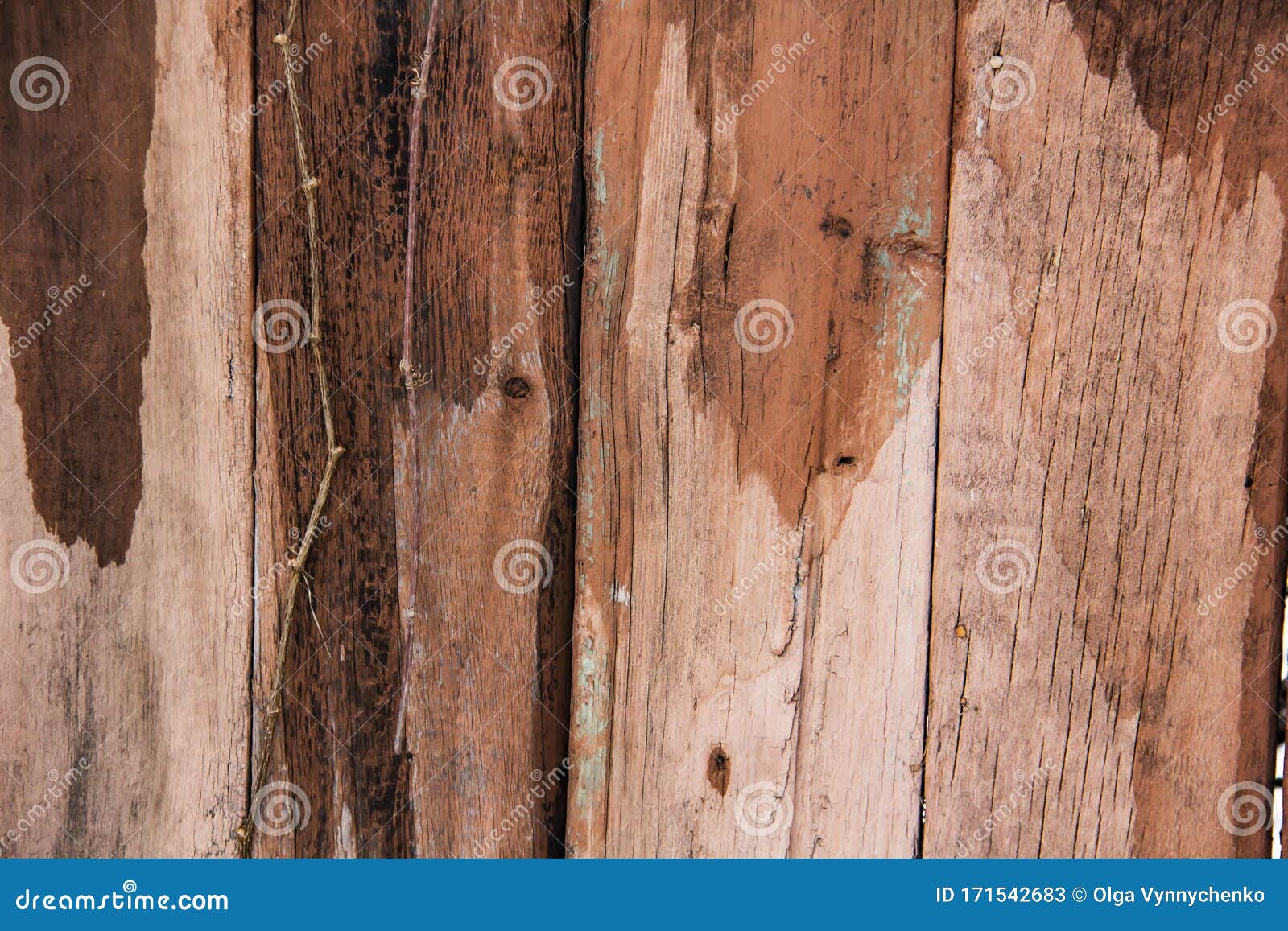 A Wet Wood Background. Texture of a Wood Stock Image - Image of plank ...