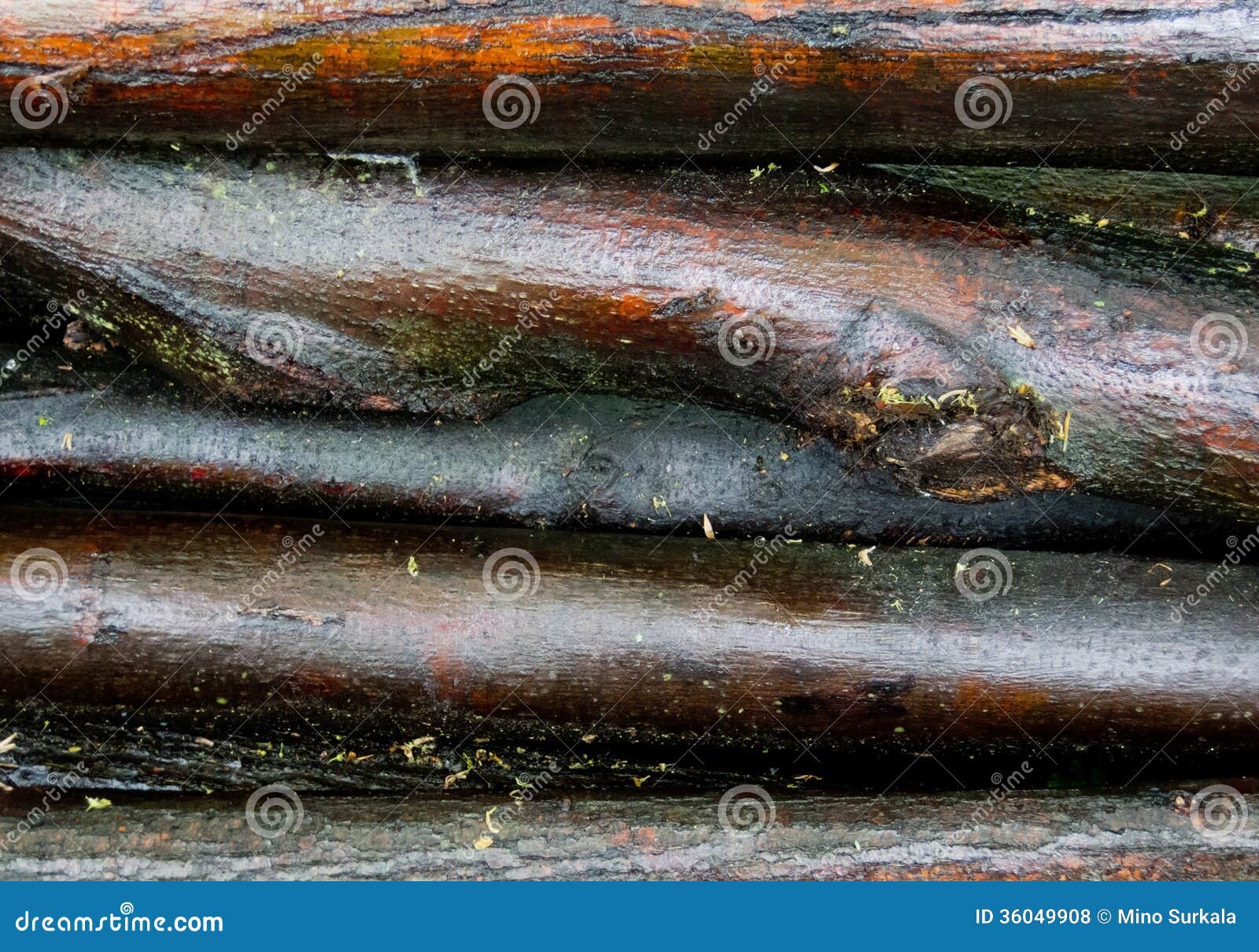 Wet wood logs stock photo. Image of color, logs, timber - 36049908