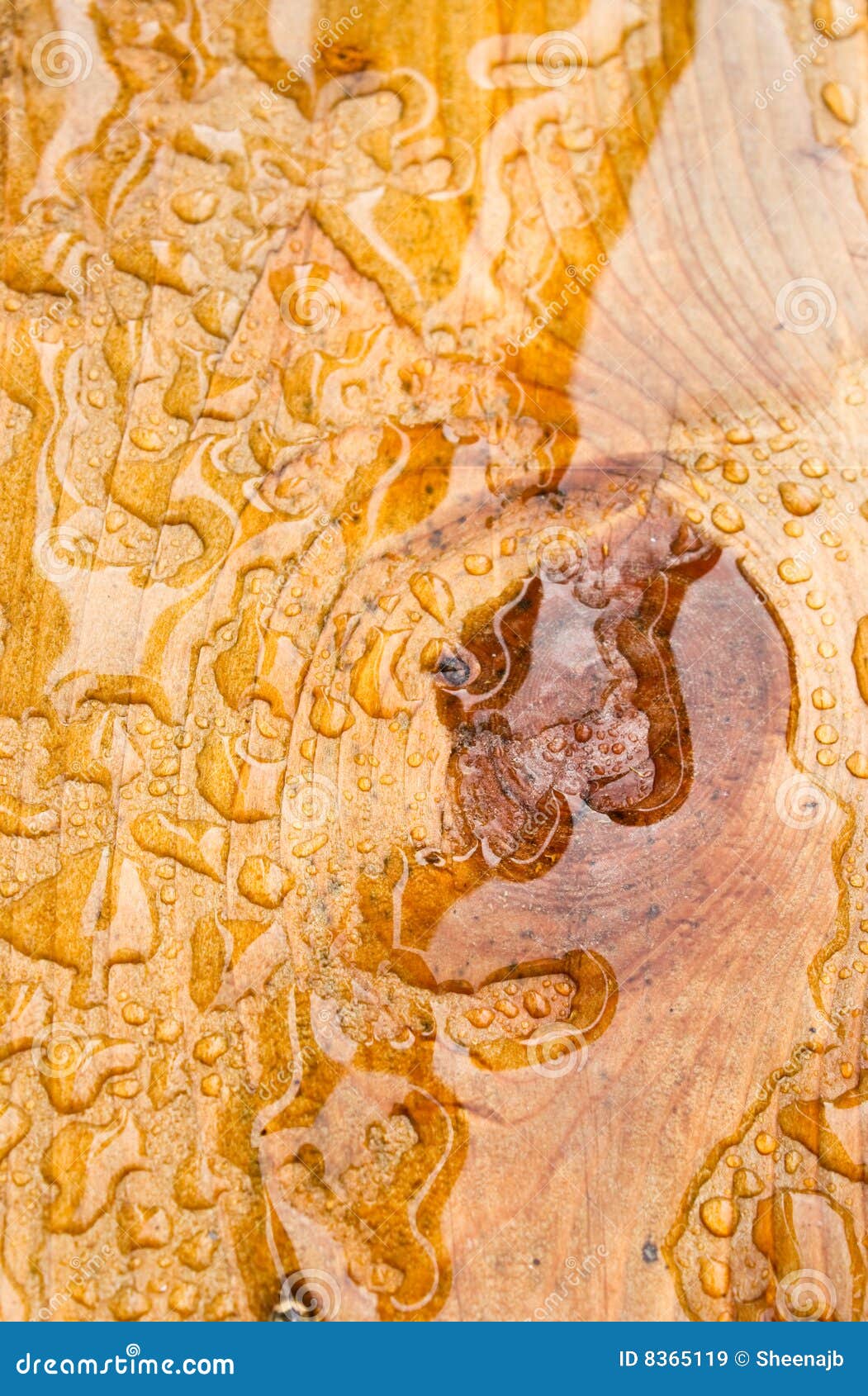 Wet wood texture stock image. Image of surface, lumber - 8365119