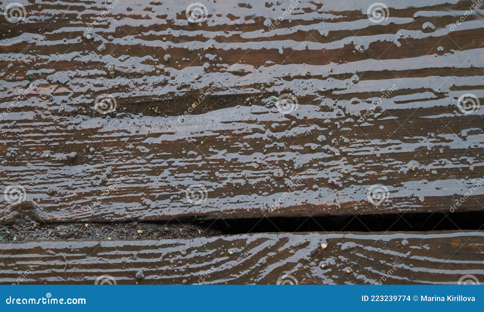 Wet wood texture close-up stock photo. Image of fence - 223239774