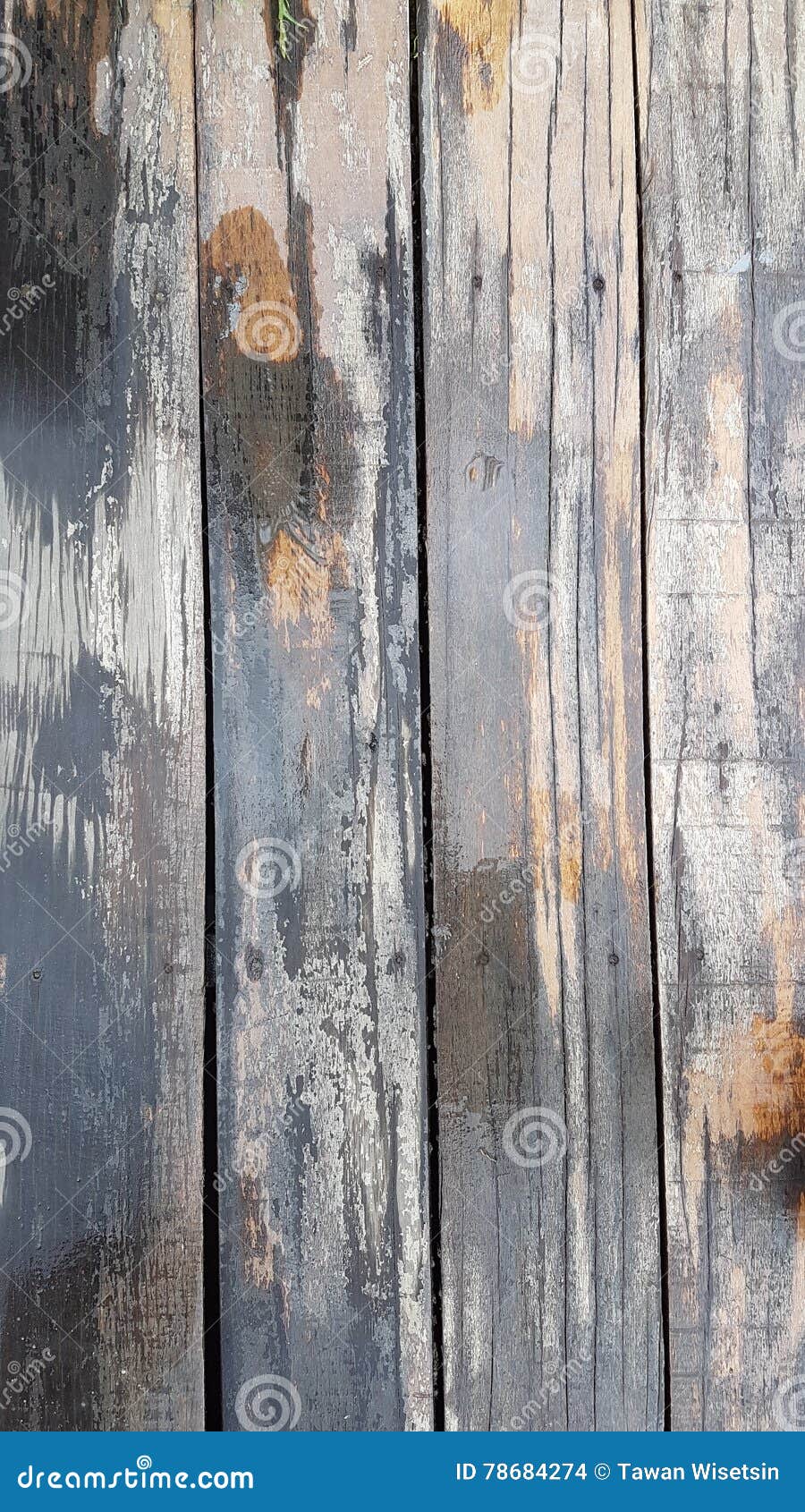 Wet wood stock photo. Image of texture, floor, wood - 78684274