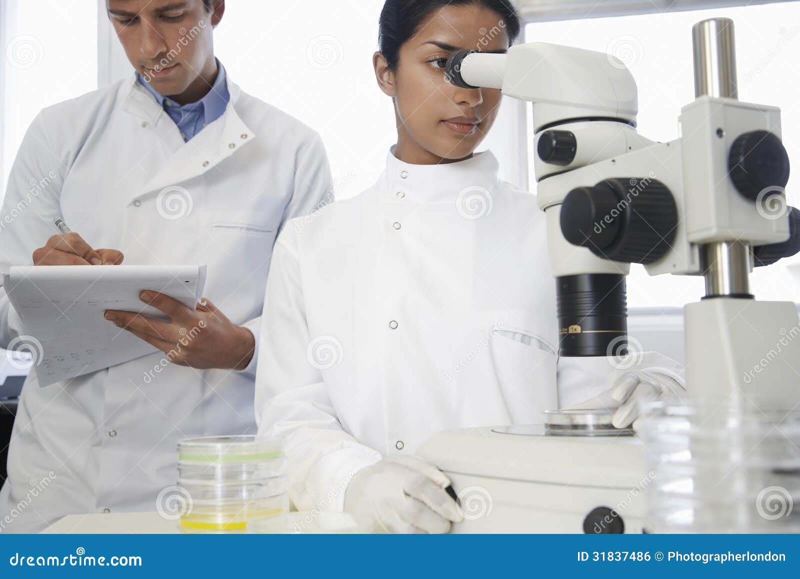 Wetenschappers Die in Laboratorium Samenwerken Stock Foto - Image of ...