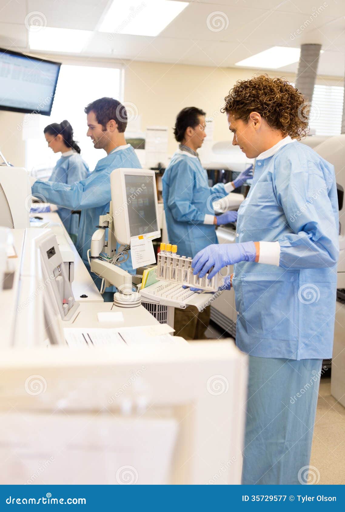 Wetenschappers Die in Laboratorium Werken Stock Afbeelding - Image of ...
