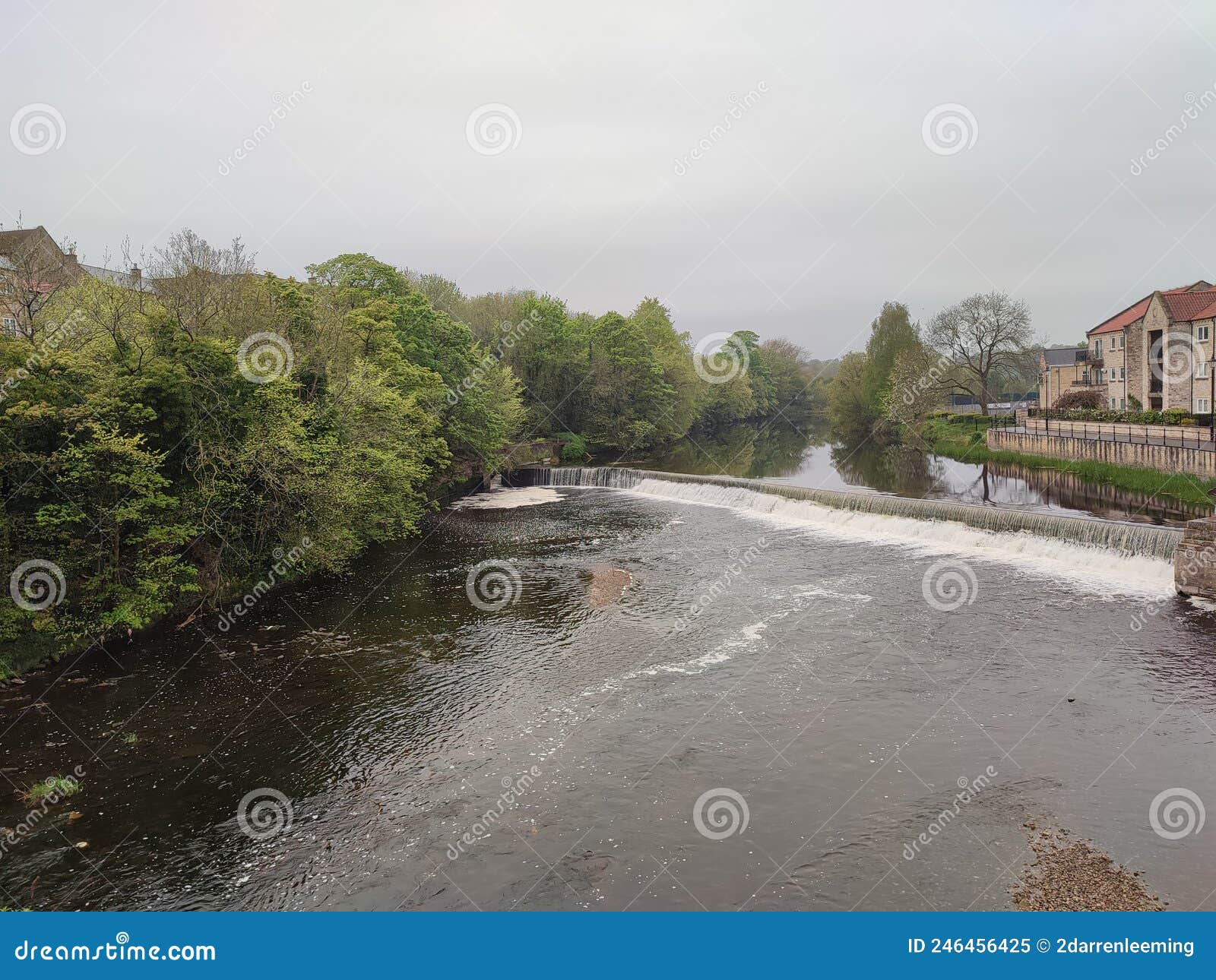 Wetherby Weir on the River Wharfe in Wetherby April 2022 Stock Image ...
