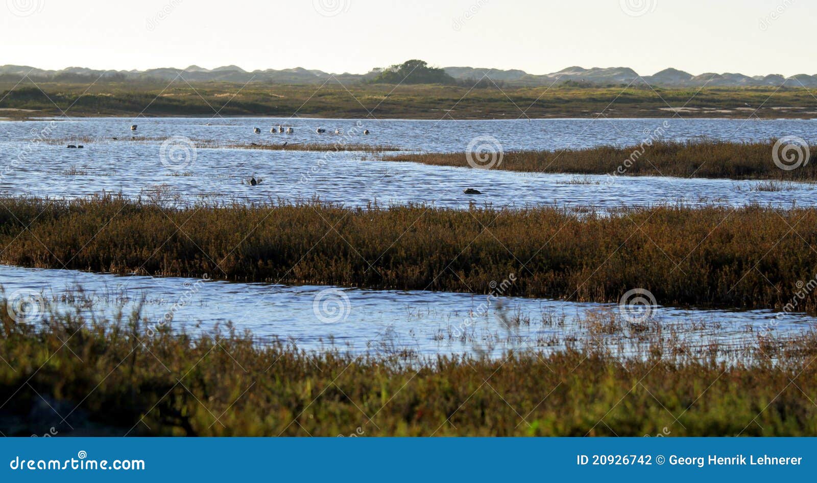 Wetland stock photo. Image of clouds, landscape, inlet - 20926742