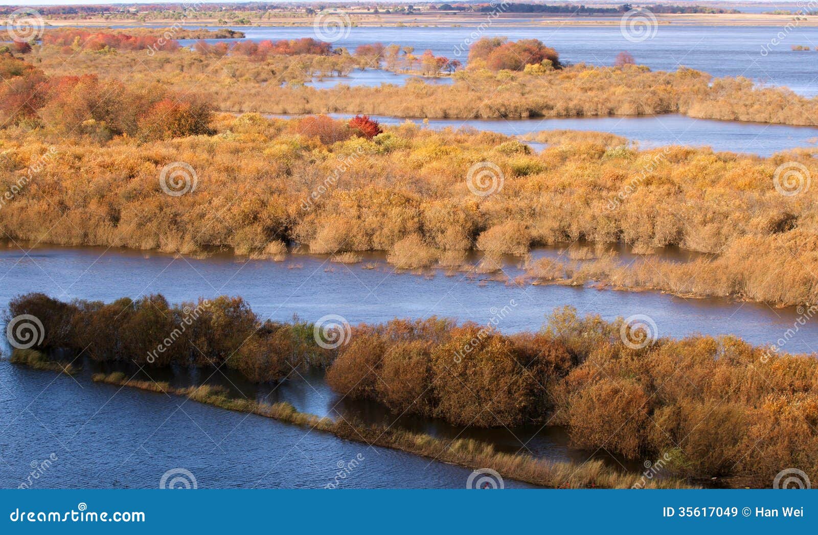 The wetland stock image. Image of autumn, season, glade - 35617049