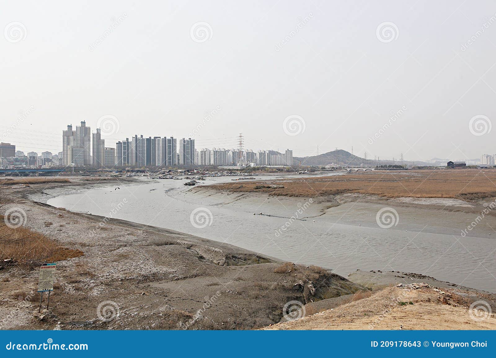 Korea ecological park editorial stock photo. Image of nature - 209178643