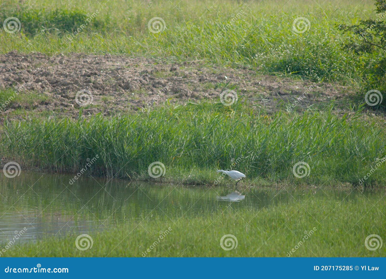 The Wetland at the Hong Kong Wetland Park 23 Dec 2006 Stock Image ...