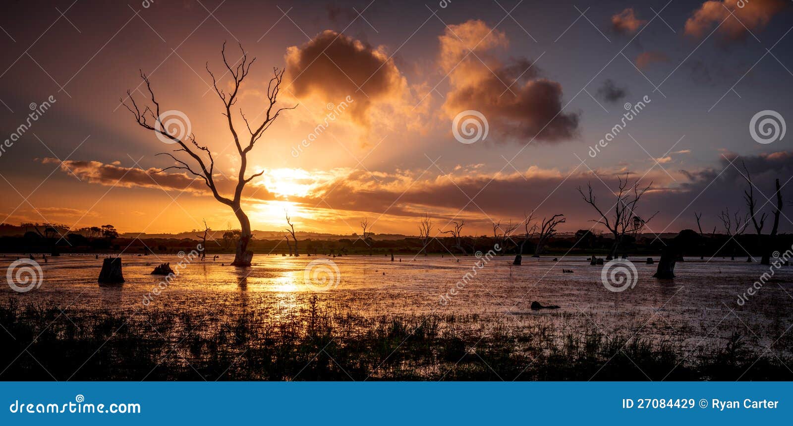 Wetland Sunset stock image. Image of golden, national - 27084429