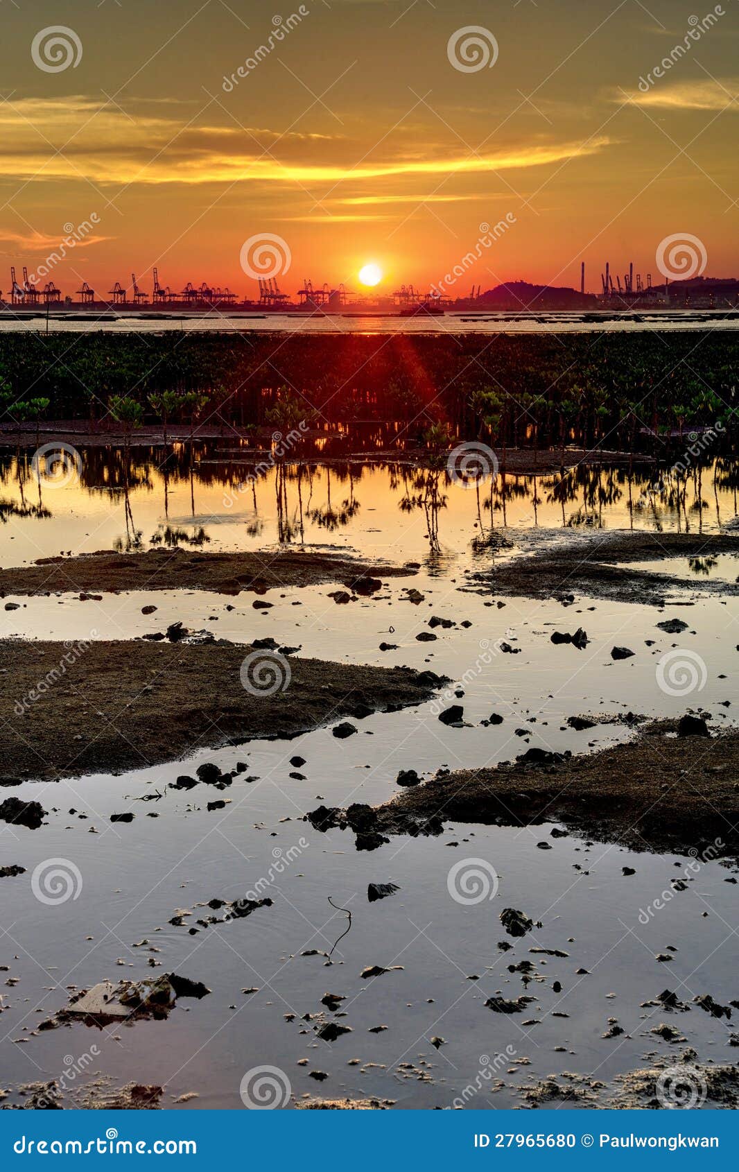 Wetland Sunset stock photo. Image of blue, outdoor, light - 27965680