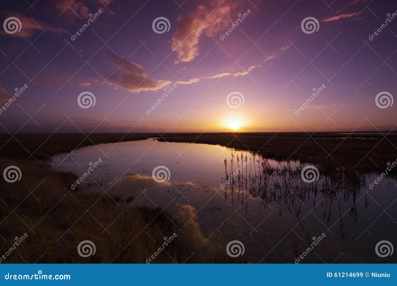 The wetland sunset stock image. Image of ecoregion, atmosphere - 61214699