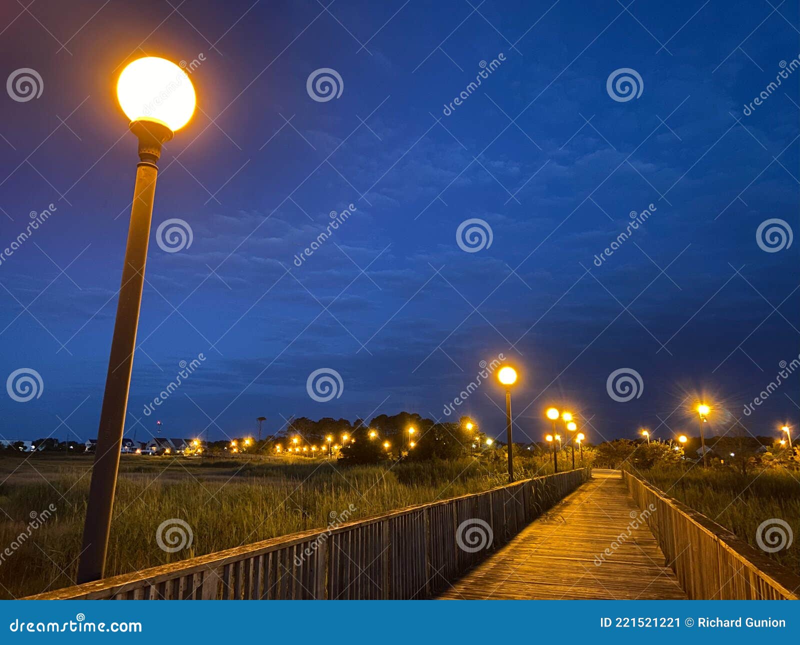 Wetland Walkway at Night stock image. Image of grass - 221521221