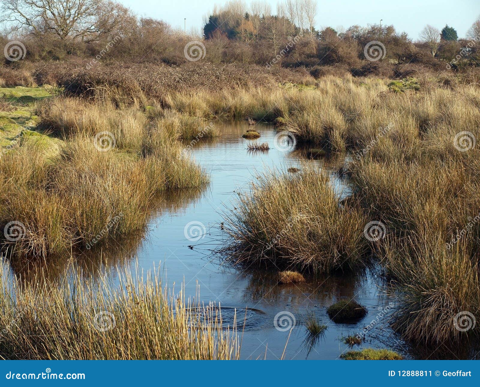 Wetland Water Channel stock image. Image of scenic, landscape - 12888811
