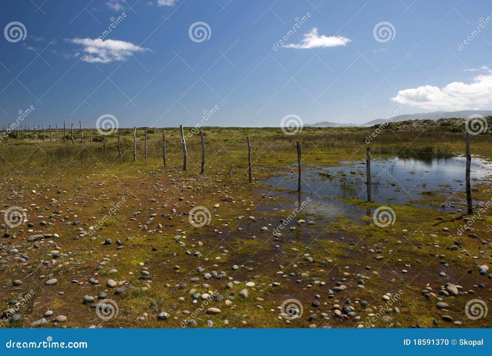 Wetlands stock photo. Image of nugget, wetland, nature - 18591370