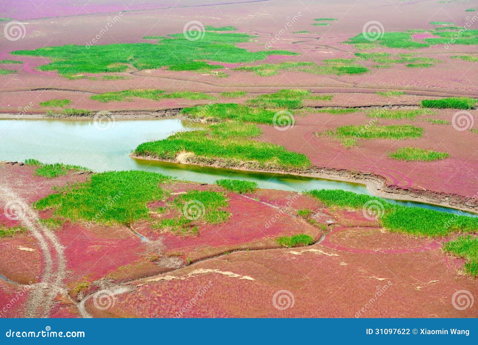 Wetlands stock photo. Image of river, flight, airplane - 31097622