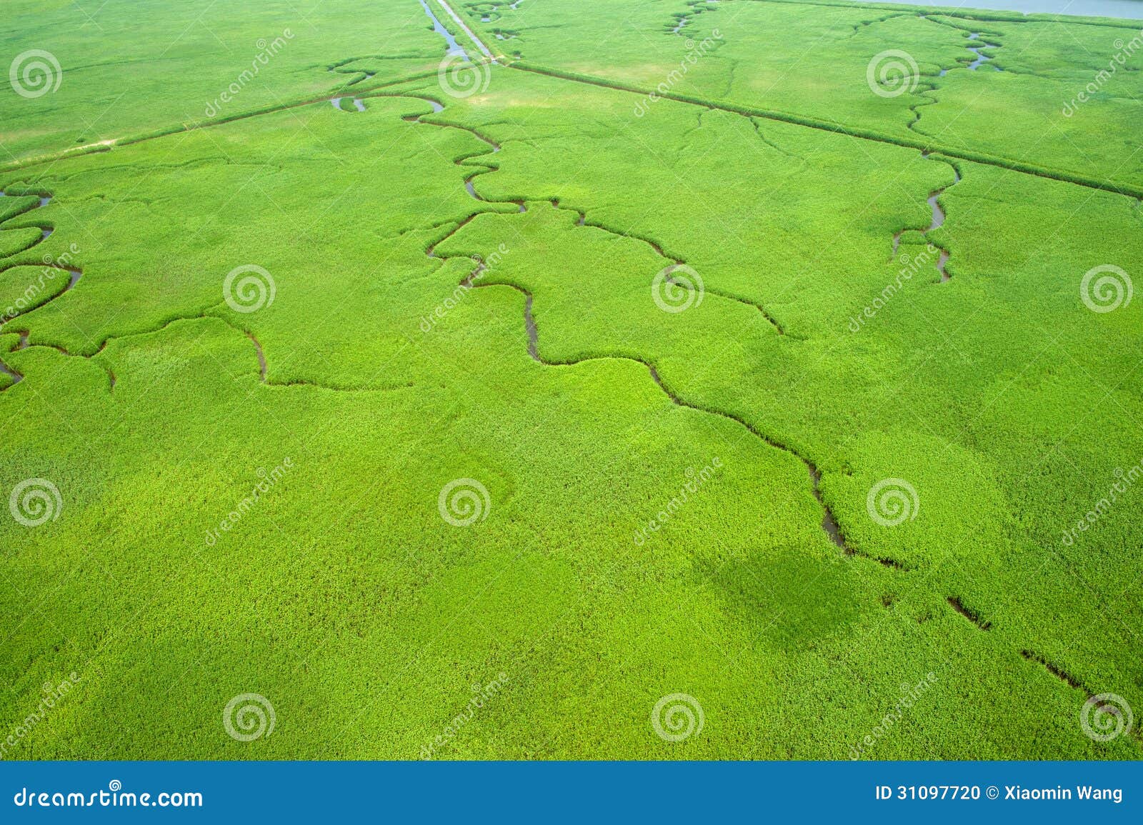 Wetlands stock photo. Image of airplane, inlet, wetland - 31097720