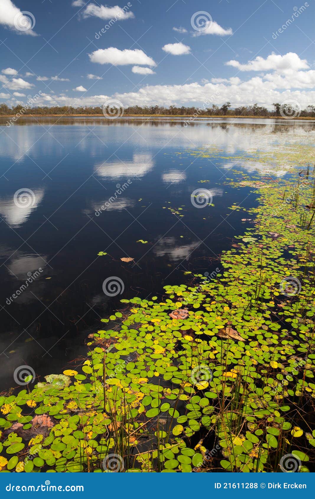 Wetlands Billabong Australian Swamp Stock Photo - Image of tourist ...