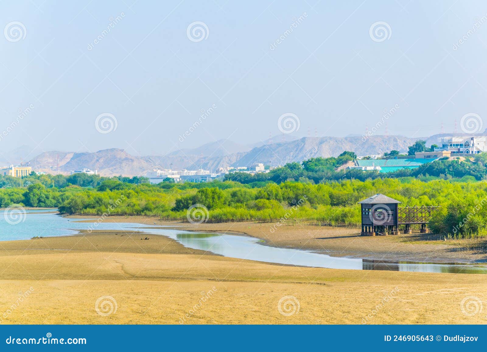 Wetlands in Muscat, the Capital of Oman...IMAGE Stock Image - Image of ...