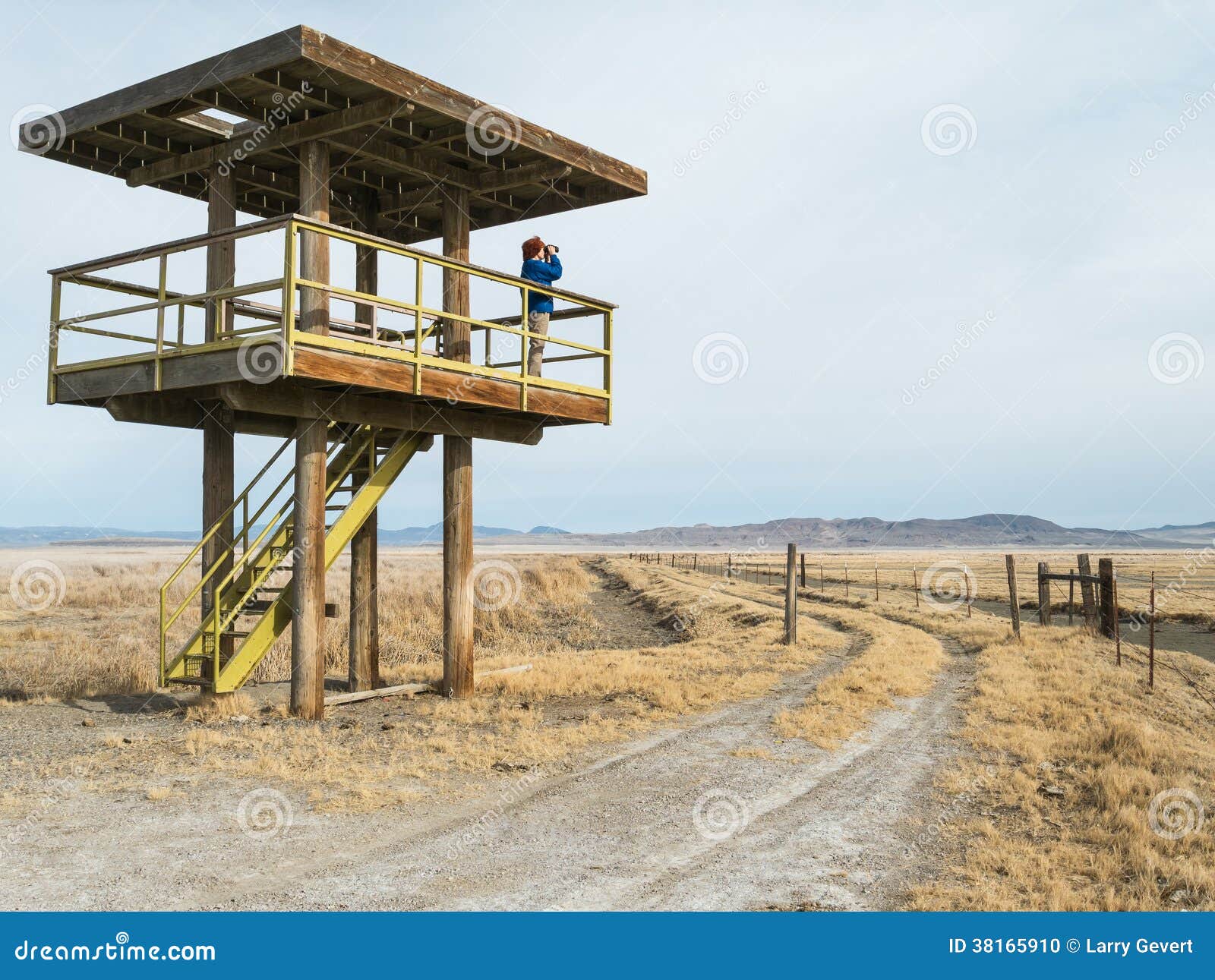 Wetlands Observation Deck, Havasu National Wildlife Refuge Stock ...