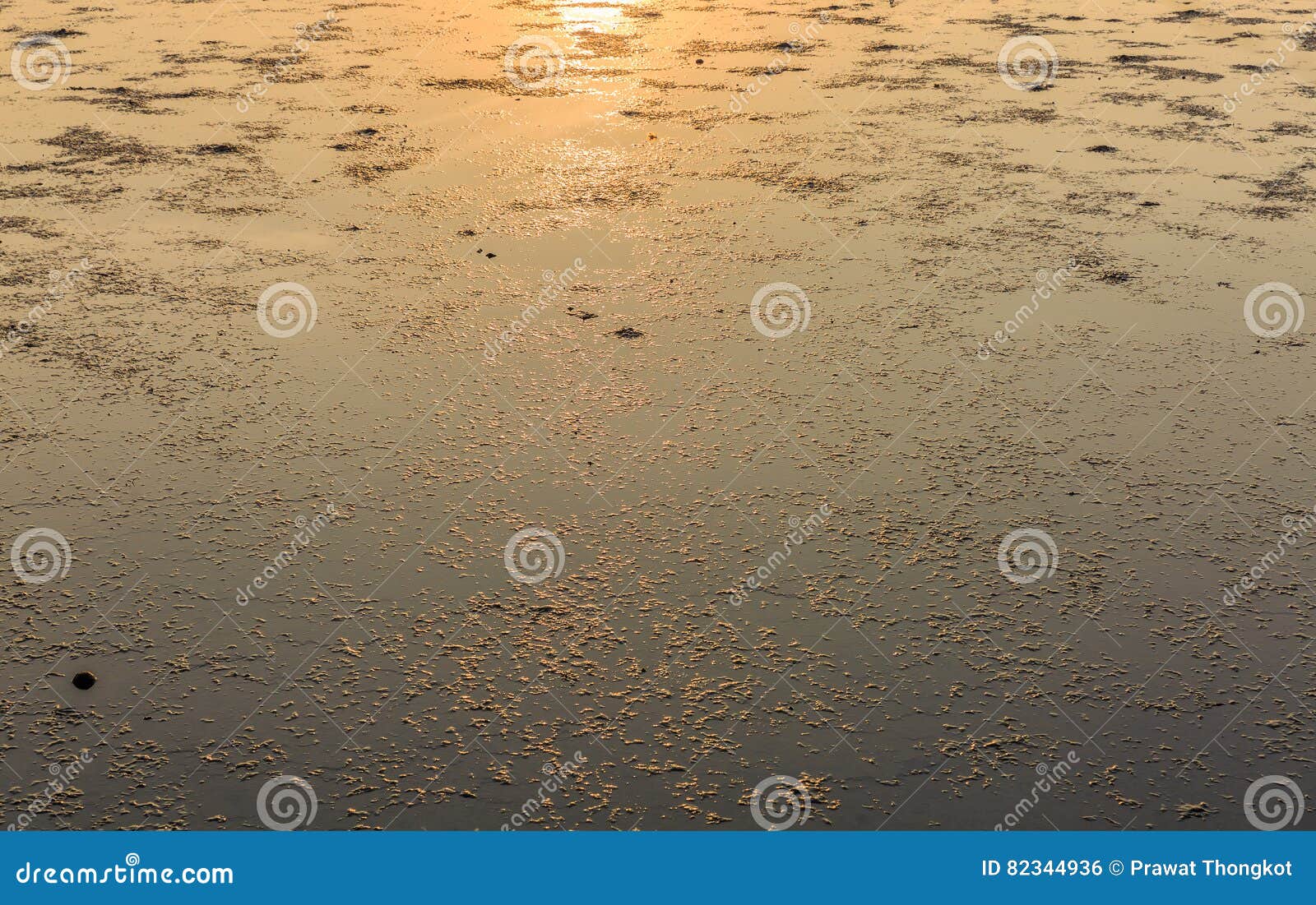 Wetlands Pattern with Sunrise Stock Photo - Image of water, countryside ...