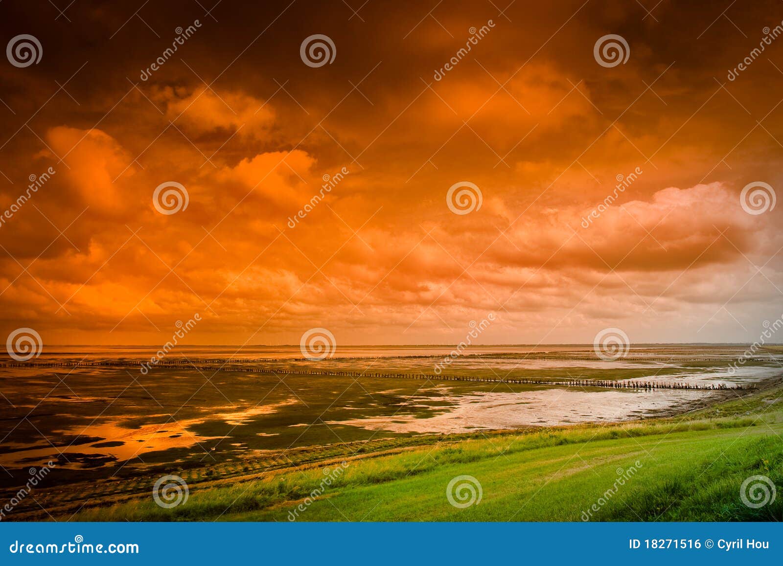 Wetlands at sunset stock photo. Image of cloudscape, dramatic - 18271516