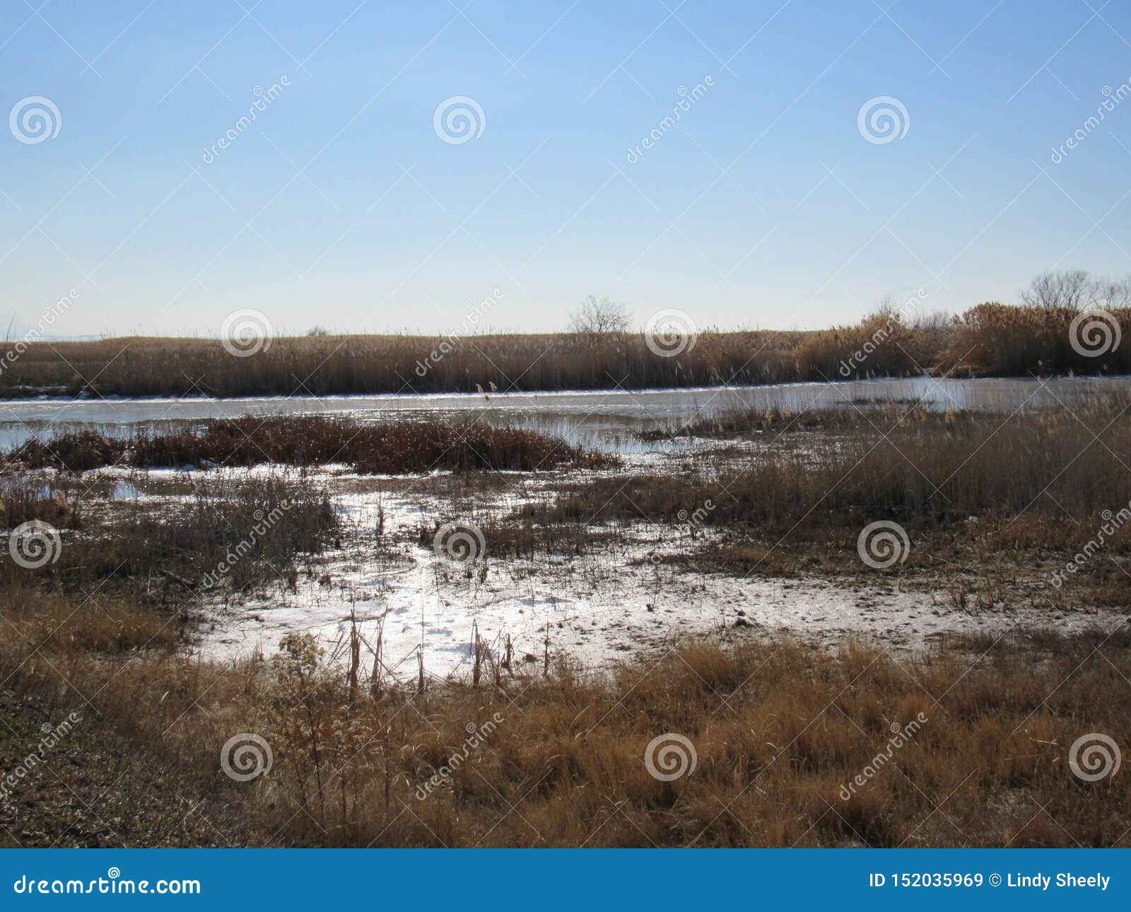 Wetlands stock image. Image of wetlands, spring, horizon - 152035969