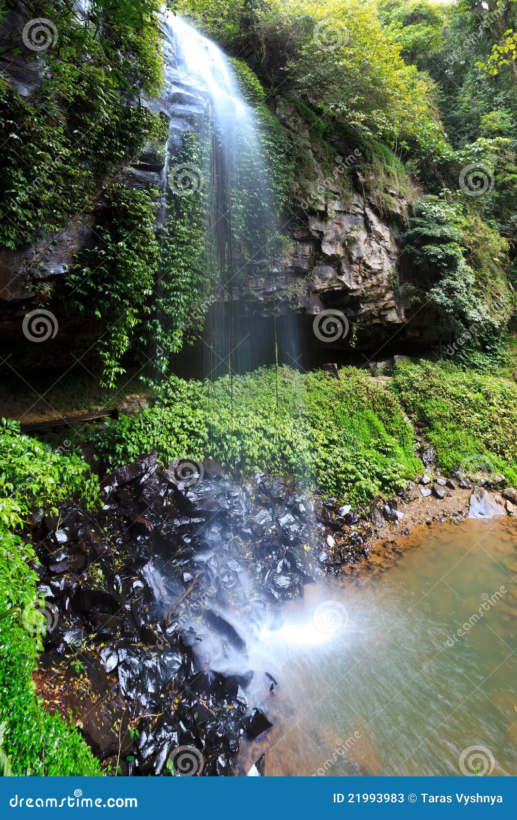 WF Crystal Fall Vert stock image. Image of streams, plant - 21993983