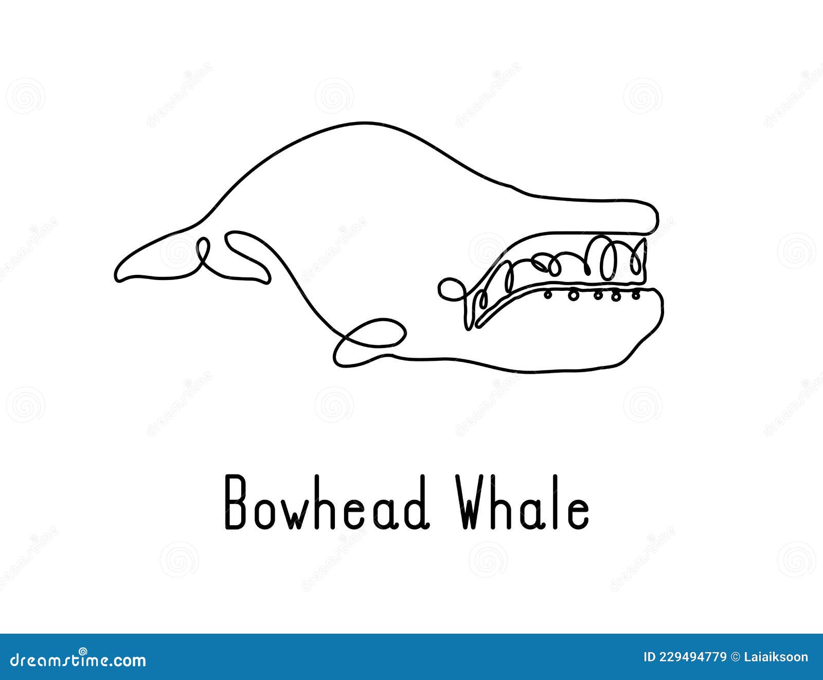 Single Continuous Line Drawing of Bowhead Whale for Marine Company Logo ...